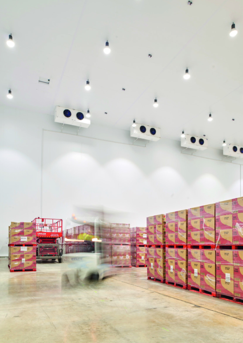 Cold Storage – Biacon