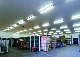 Cold Storage – Biacon